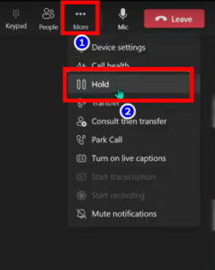 How to Put a Call on Hold in Microsoft Teams [Guide 2024]