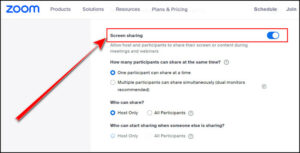 Share Multiple Screens Simultaneously in Zoom [2024]