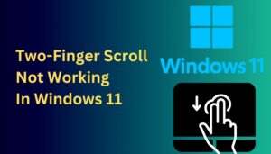 Two-Finger Scroll Not Working in Windows 11: Fix It [2024]