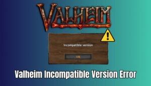 Valheim Incompatible Version Error [Fix the Co-op Mode]