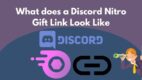 What does a Discord Nitro Gift Link look like? [2024 Guide]