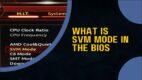What is SVM Mode in The BIOS? [A Complete Guide 2024]