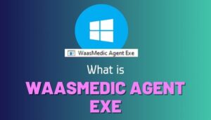 What is WaasMedic Agent Exe? [Fix High CPU/Disk Usage]
