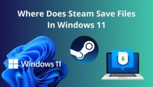 Where Does Steam Save Files in Windows 11 [Answered 2024]