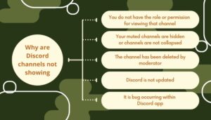 Best Fix for Discord Channels Not Showing [2024 Guide]