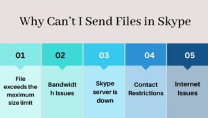 4 Ways to Fix Errors in Transfer on Skype for Business [2024]
