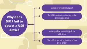 BIOS is Not Detecting USB Device: Reasons and Fix [2024]