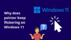 Fix Pointer Keeps Flickering On Windows 11 [Best Guide]