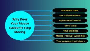 Mouse Randomly Stops Moving [Causes & Fixes 2024]