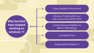 Fix Function Keys Stopped Working on Windows 11 [Proven Fix]