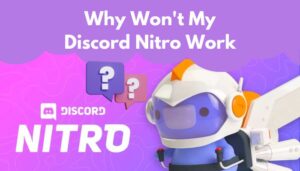 Why Won't My Discord Nitro Work? [10 Quick Fixes 2024]
