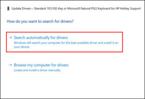 [Solved] Keyboard and Mouse Work in BIOS But Not in Windows