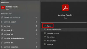 Adobe Reader: Change Default Zoom Setting [Guide 2024]