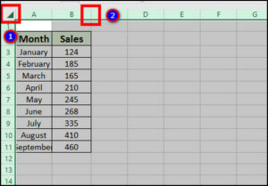 How to Make a Cell Bigger in Excel [Easy & Quick Ways 2024]