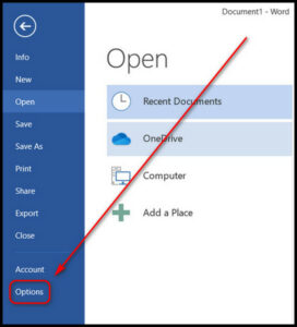 How to Change Language in Microsoft Word Document [2024]