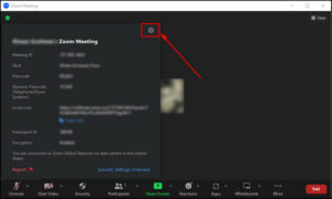 Zoom: How to Always Show Meeting Controls [Quick Tips 2024]