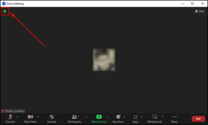 Zoom: How to Always Show Meeting Controls [Quick Tips 2024]