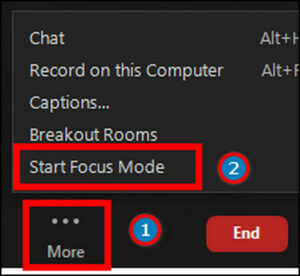 Use Focus Mode on Zoom [Step-by-Step Guide 2024]