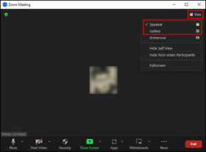 How to Change Video Layout in Zoom [Complete Guide 2024]